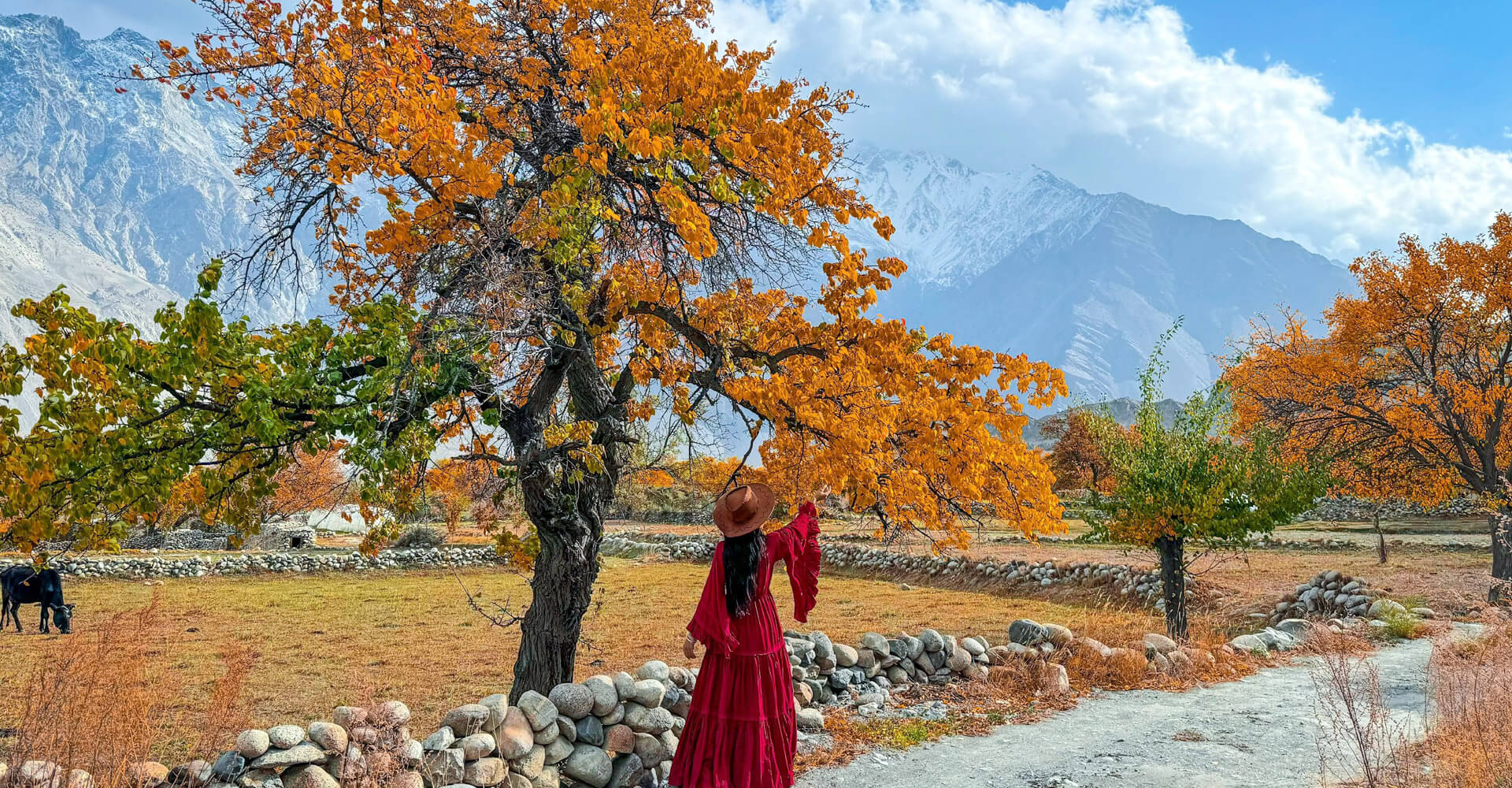 Awesome Adventure Pakistan | Treks Tours Expeditions